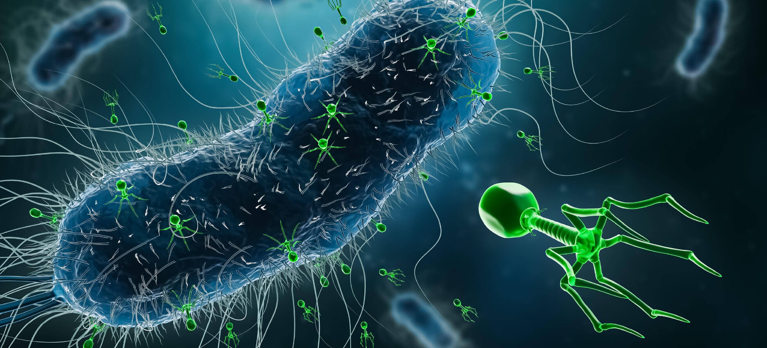 Bacteriophage Therapy: A Promising Solution to Antibiotic Resistance