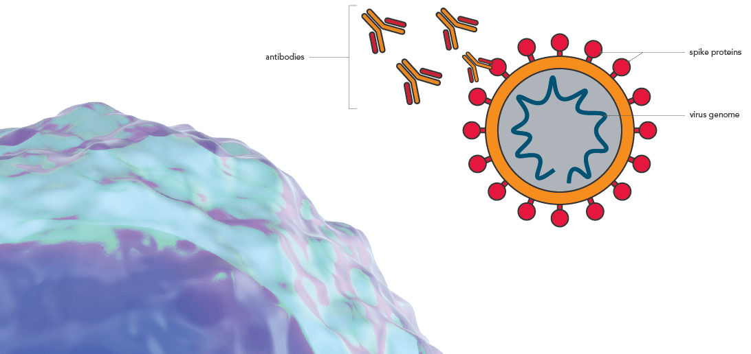 mRNA and Its Role in Clinical Research